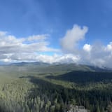 Larch Mountain Trail, Oregon - 767 Reviews, Map | AllTrails