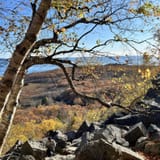 Precipice Loop, Maine - 5,506 Reviews, Map | AllTrails