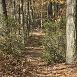 Neversink Loop Trail, Pennsylvania - 1,261 Reviews, Map | AllTrails