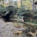 Rock Bridge Trail, Kentucky - 4,466 Reviews, Map | AllTrails
