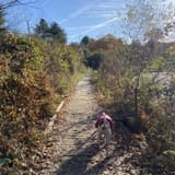 Hashawha Loop Trail, Maryland - 1,148 Reviews, Map | AllTrails