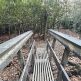 Diamond Point Overlook via Endless Wall Trail, West Virginia - 2,431 ...