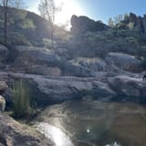 Moses Spring and Rim Trail Loop, California - 3,052 Reviews, Map ...