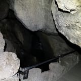 Moses Spring and Rim Trail Loop, California - 3,052 Reviews, Map ...