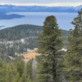 Tamarack Peak Loop, Nevada - 1,139 Reviews, Map | AllTrails