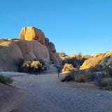 Skull Rock, California - 3,336 Reviews, Map | AllTrails