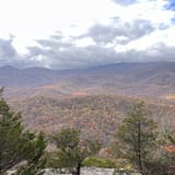 Looking Glass Rock Trail, North Carolina - 8,053 Reviews, Map | AllTrails