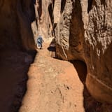 Wire Pass Trail, Utah - 3,318 Reviews, Map | AllTrails