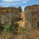 Reeves Brook Loop Trail, New York - 5,277 Reviews, Map | AllTrails