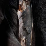 Wire Pass Trail, Utah - 3,318 Reviews, Map | AllTrails