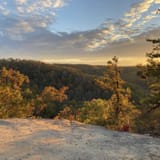 Natural Bridge and Laurel Ridge Trail Loop, Kentucky - 2,346 Reviews ...