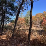 Breakheart Reservation Loop, Massachusetts - 1,037 Reviews, Map | AllTrails