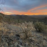 Dixie Summit Trail, Arizona - 1,533 Reviews, Map | AllTrails