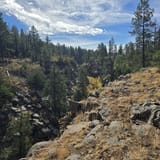 Sycamore Rim Trail, Arizona - 356 Reviews, Map | AllTrails