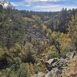 Sycamore Rim Trail, Arizona - 356 Reviews, Map | AllTrails