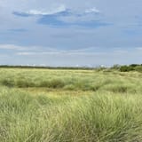 Oso Bay Wetlands Preserve, Texas - 384 Reviews, Map | AllTrails