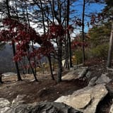 Diamond Point Overlook via Endless Wall Trail, West Virginia - 2,431 ...