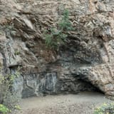 Columbine Trail, Colorado - 1,957 Reviews, Map | AllTrails