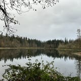 Nolte State Park Deep Lake, Washington - 609 Reviews, Map | AllTrails