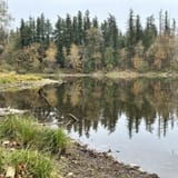 Nolte State Park Deep Lake, Washington - 609 Reviews, Map | AllTrails