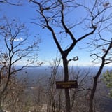 Huckleberry Point Trail, New York - 1,985 Reviews, Map | AllTrails