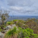 Mount Larcom Walking Trail, Queensland, Australia - 253 Reviews, Map ...