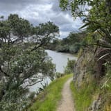 Waitangi to Haruru Falls Walk, Northland, New Zealand - 286 Reviews ...