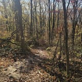 Monocacy Hill Trail, Pennsylvania - 2,209 Reviews, Map | AllTrails