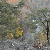 High Rocks, Pennsylvania - 3,671 Reviews, Map | AllTrails