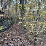 Zaleski South Loop Trail, Ohio - 1,013 Reviews, Map | AllTrails