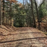 Airplane Rock and Chapel Cave Loop, Ohio - 1,817 Reviews, Map | AllTrails