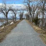 Colchester Causeway Trail, Vermont - 1,001 Reviews, Map | AllTrails