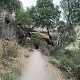 Moses Spring and Rim Trail Loop, California - 3,052 Reviews, Map ...