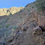 Aztec Cave Trail, Texas - 1,776 Reviews, Map | AllTrails