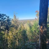 Torreya Trail, Florida - 438 Reviews, Map | AllTrails