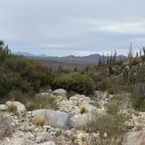 Sutherland Trail, Arizona - 205 Reviews, Map | AllTrails
