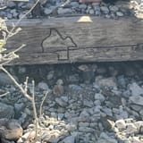 Aztec Cave Trail, Texas - 1,776 Reviews, Map | AllTrails