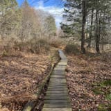 Shaupeneak Ridge Trail, New York - 432 Reviews, Map | AllTrails