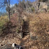 East Rock Loop Trail, Connecticut - 1,584 Reviews, Map | AllTrails