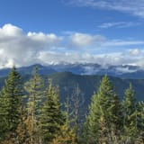 Mount Walker, Washington - 2,233 Reviews, Map | AllTrails