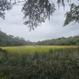 Guana Trail, Marshview Lane, and Shellbluff Road, Florida - 286 Reviews ...