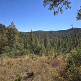 Grindstone Canyon Loop, New Mexico - 1,735 Reviews, Map | AllTrails