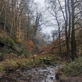 Nicky Nook Circular, Lancashire, England - 1,242 Reviews, Map | AllTrails
