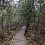 Rattlesnake Point and Crawford Lake, Ontario, Canada - 1,251 Reviews ...
