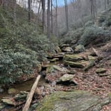 Kelly's Run Loop Trail, Pennsylvania - 3,963 Reviews, Map | AllTrails