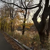 East Rock Loop Trail, Connecticut - 1,584 Reviews, Map | AllTrails