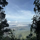 Mount Angsi, Negeri Sembilan, Malaysia - 1,048 Reviews, Map | AllTrails