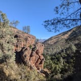 Moses Spring and Rim Trail Loop, California - 3,052 Reviews, Map ...