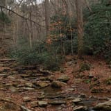 Kelly's Run Loop Trail, Pennsylvania - 3,963 Reviews, Map | AllTrails