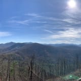 Duncan Ridge Trail, Georgia - 71 Reviews, Map | AllTrails